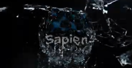 Sapien Designs - Intelligent Design
